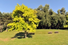 Le Parc Georges Valbon, La Courneuve - Groupe ECT