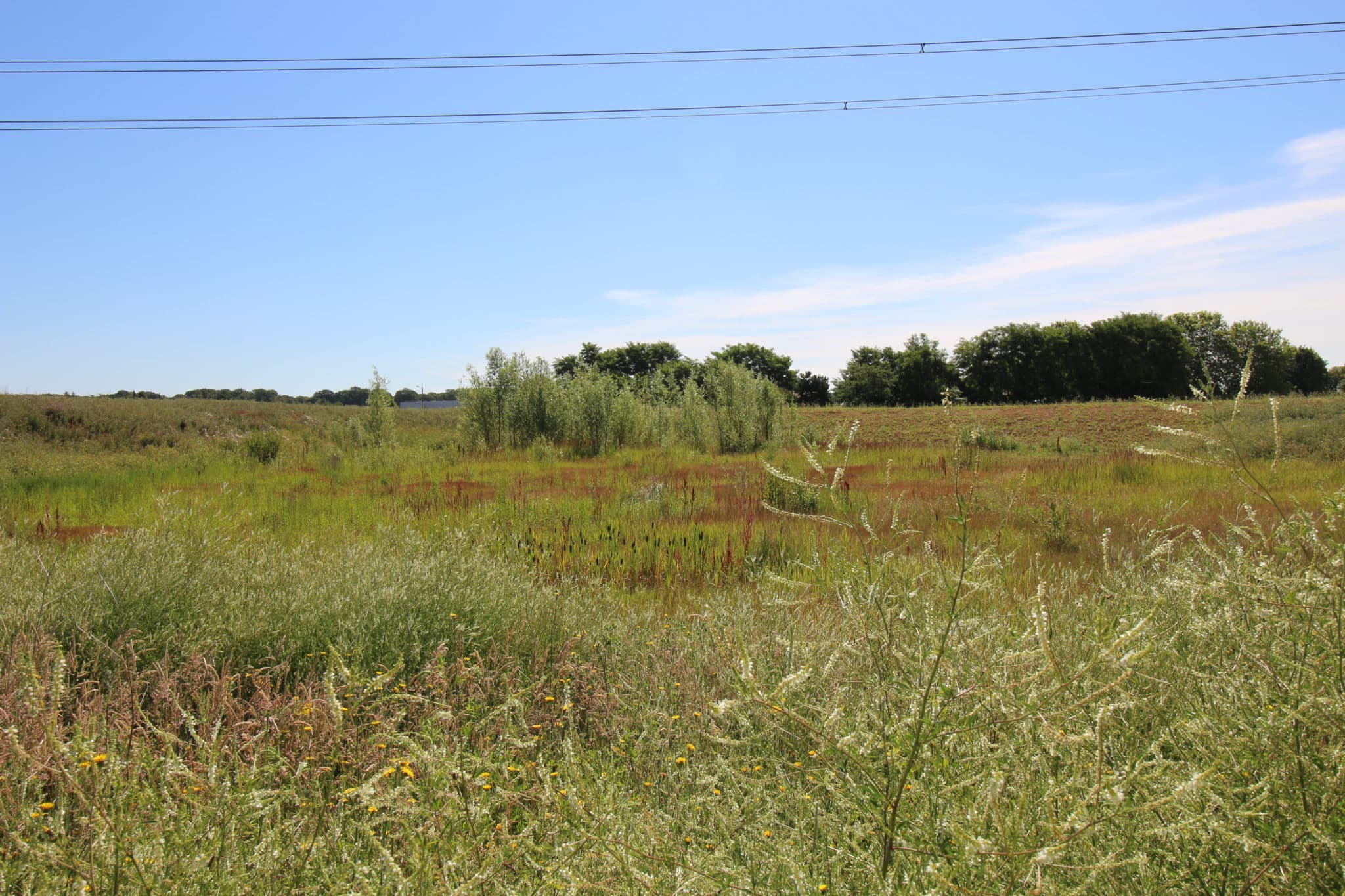 Ecological management and maintenance guide for ECT sites