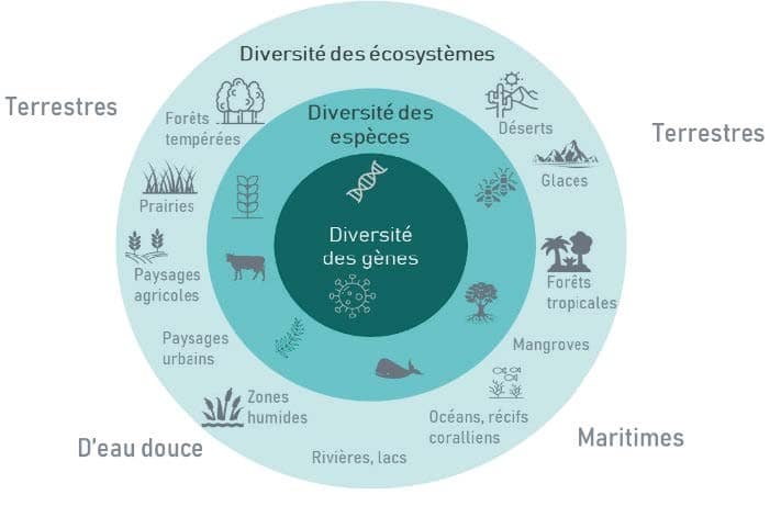 Biodiversité